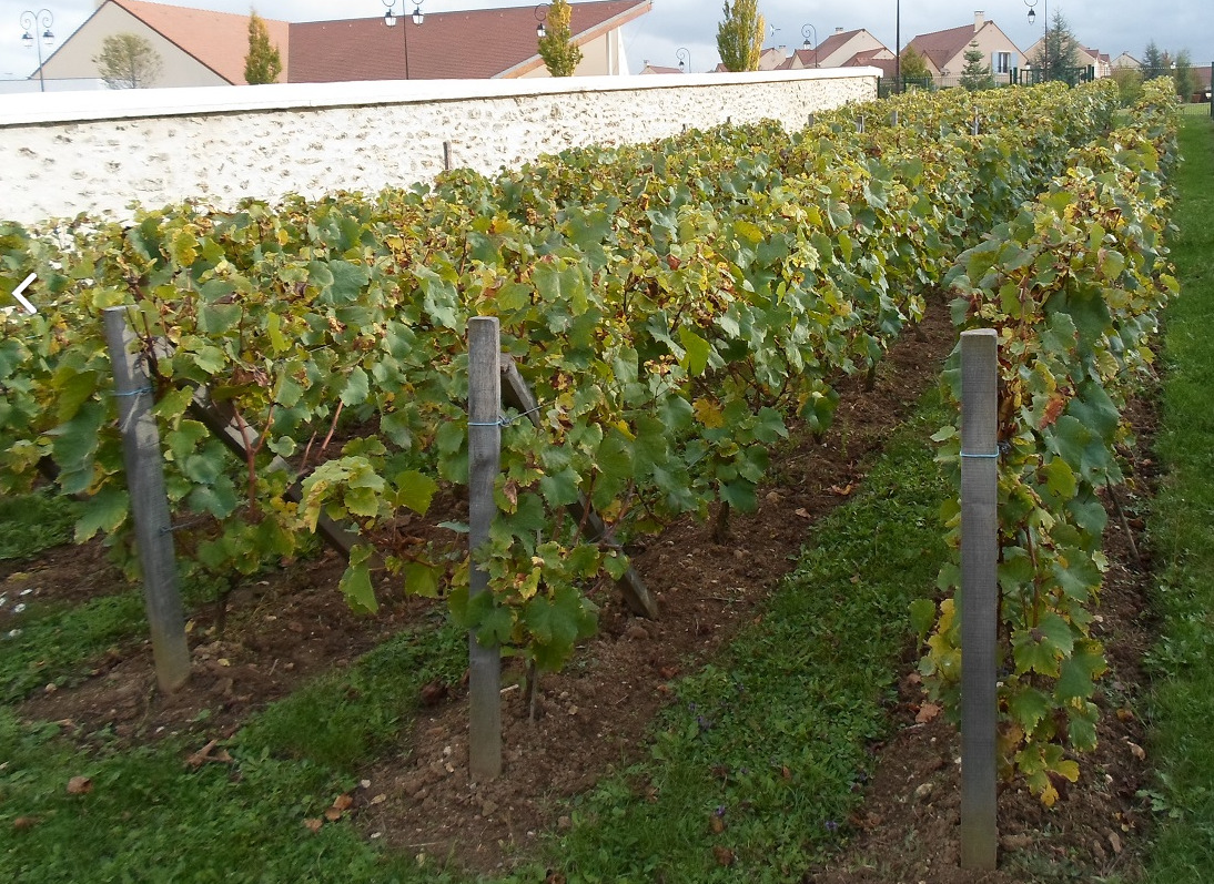 Associations Culturelles et sportives - Commune d'Ormoy